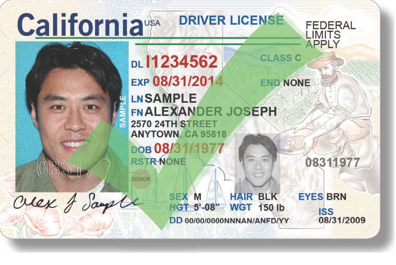 Senior Golden Bear Pass Application Requirements